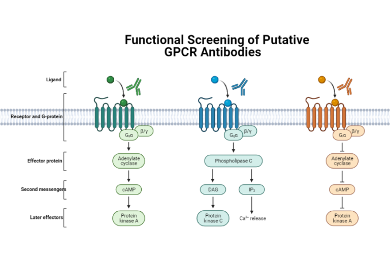 Multispan, Inc | Scientific Insight: Developing and Screening ...