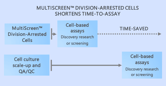 GPCR Membrane Ligand Binding Assay Development