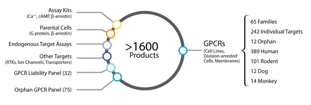 Stable Cell Line Generation | Multispan, Inc.