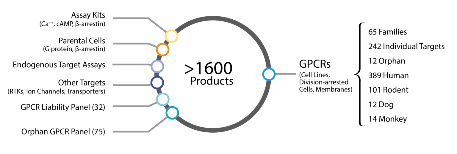 Stable Cell Line Generation | Multispan, Inc.