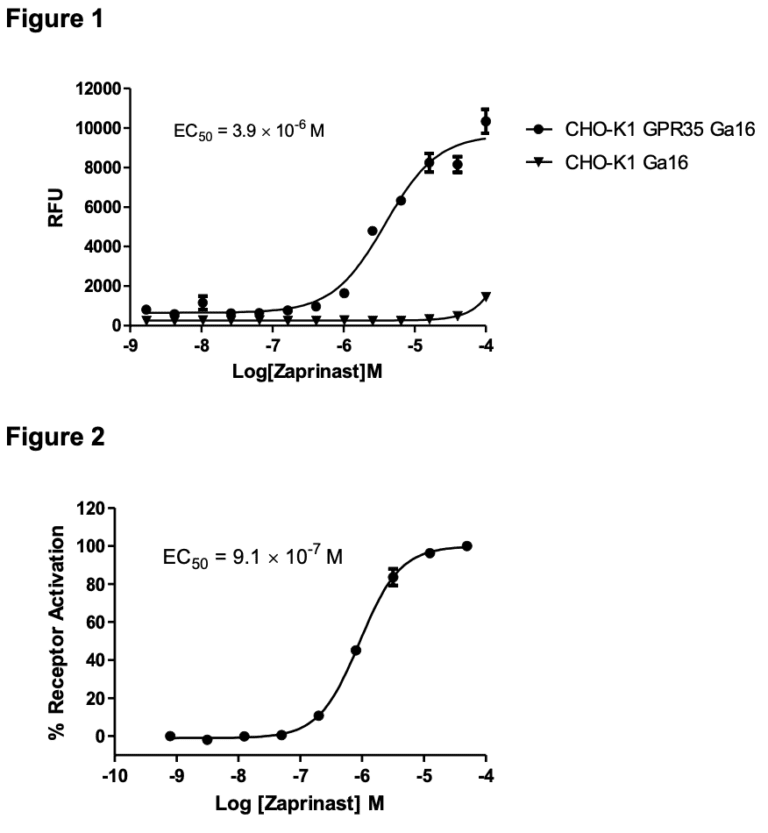 GPR35 (short form) RECEPTOR - CG1096-1 | Multispan, Inc