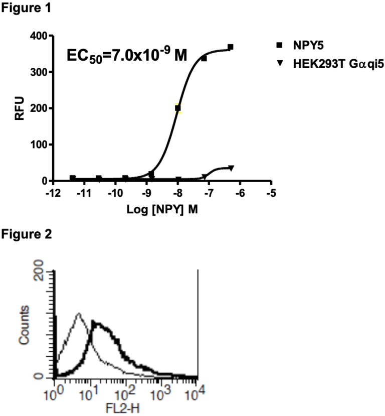 Y5 RECEPTOR - CG1275 | Multispan, Inc
