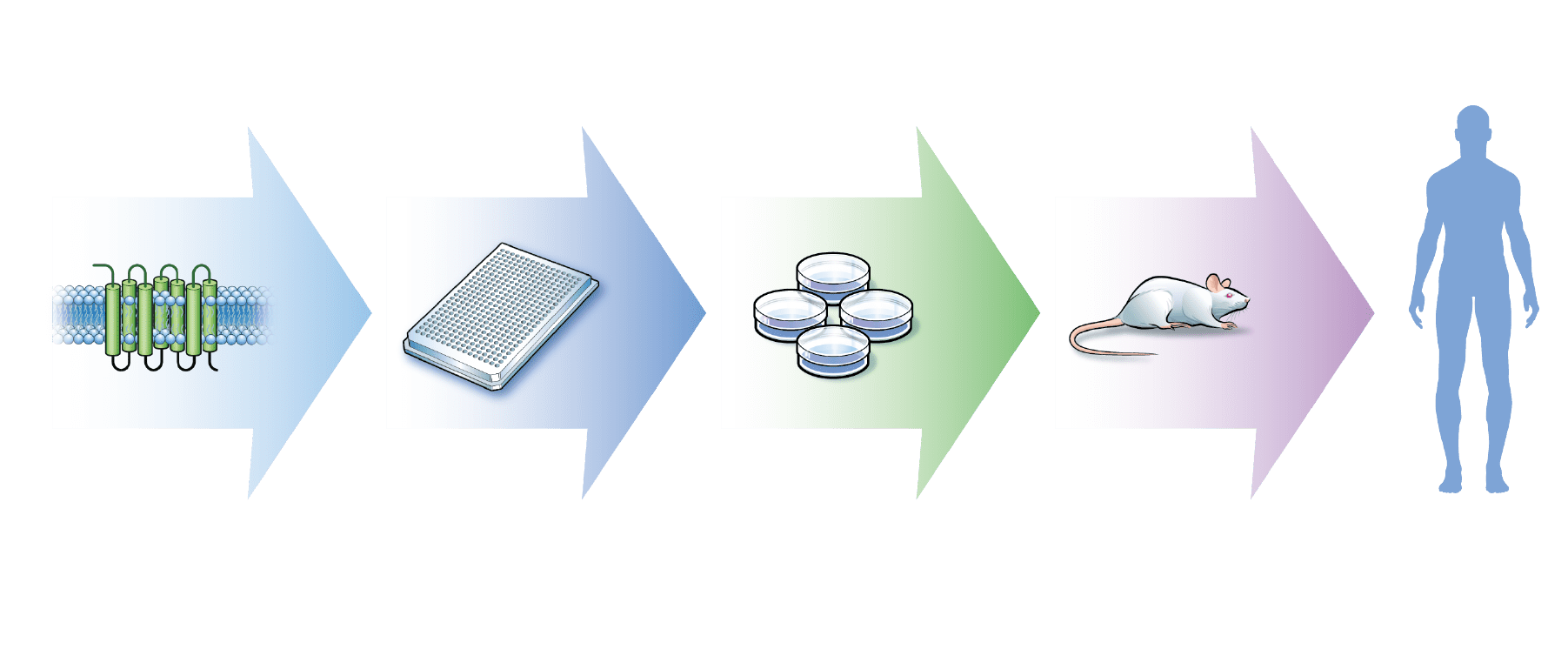 High Throughput Screening | Multispan Inc - Discover Our Services